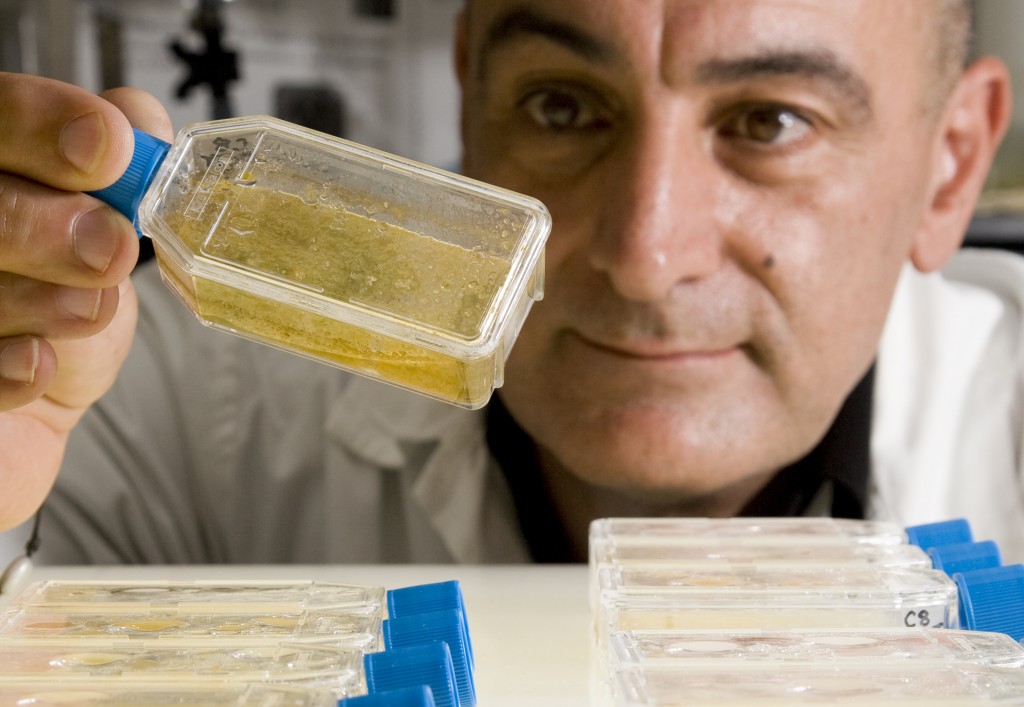 Viruses aren't always the bad guys - Griffith News