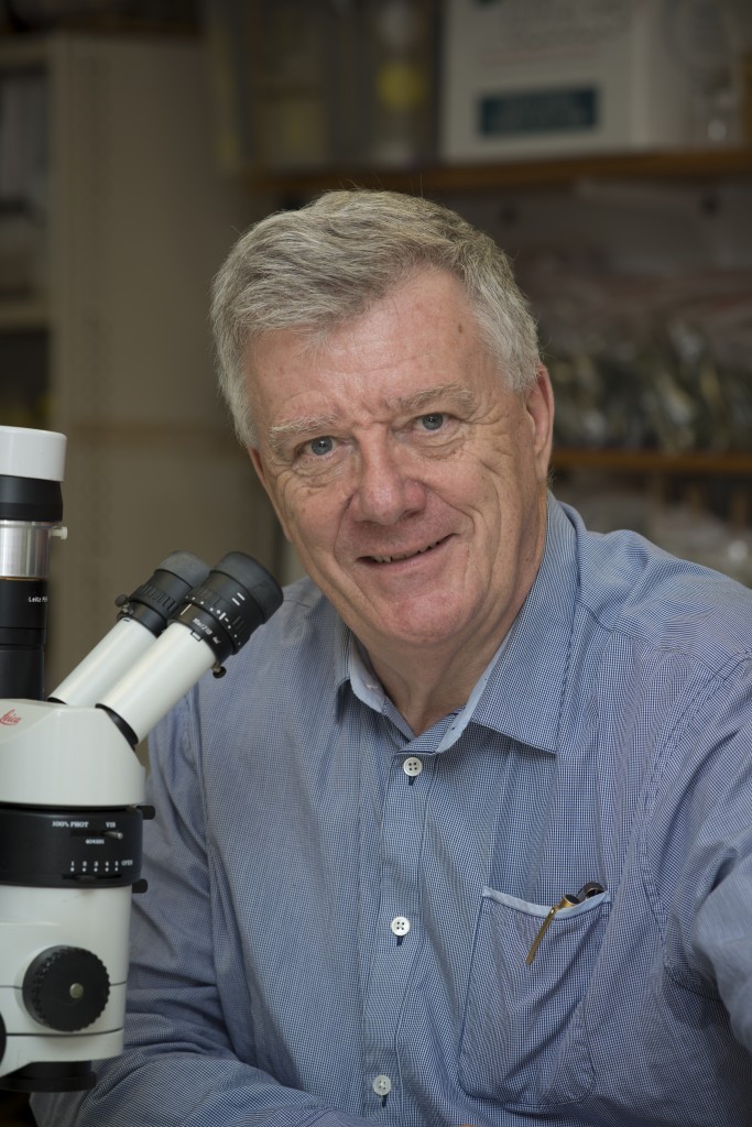 Can we adapt to climate change fast enough? - Griffith News