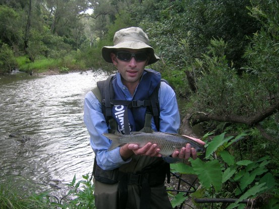 Weirs, stream condition affect fish diversity – Griffith News