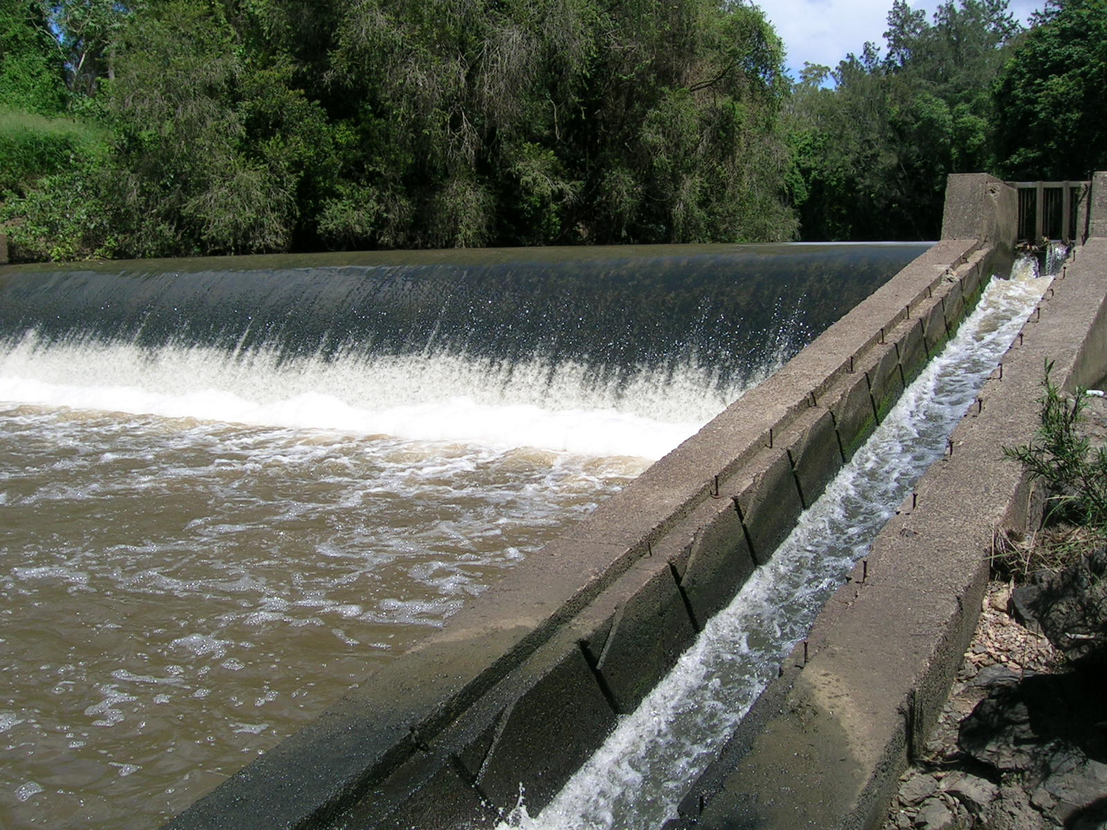 Weirs, stream condition affect fish diversity - Griffith News
