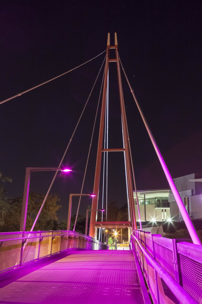 Bridge is pretty in pink for cancer campaign - Griffith News
