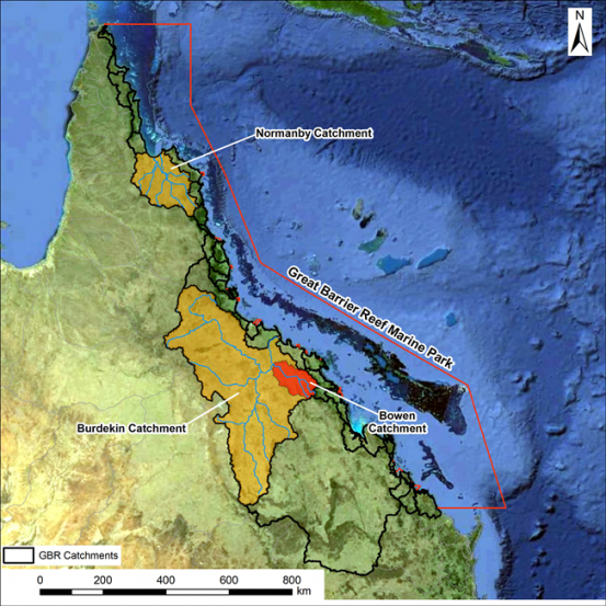 Solution at hand for saving Great Barrier Reef - Griffith News