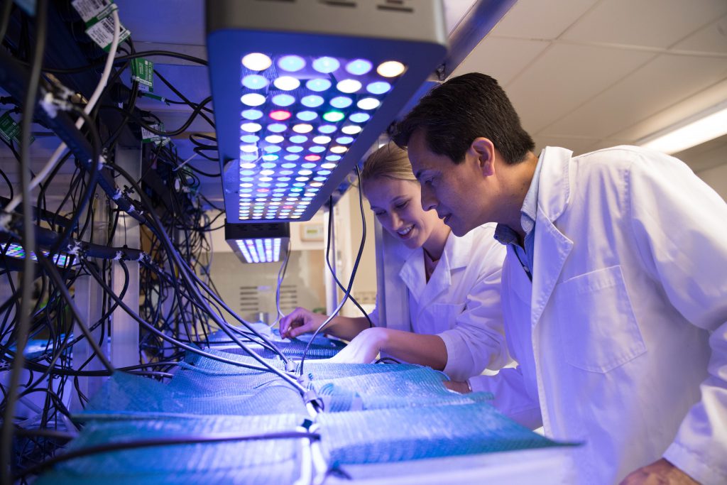 ERA 2018 sees Griffith double its top rating research - Griffith News