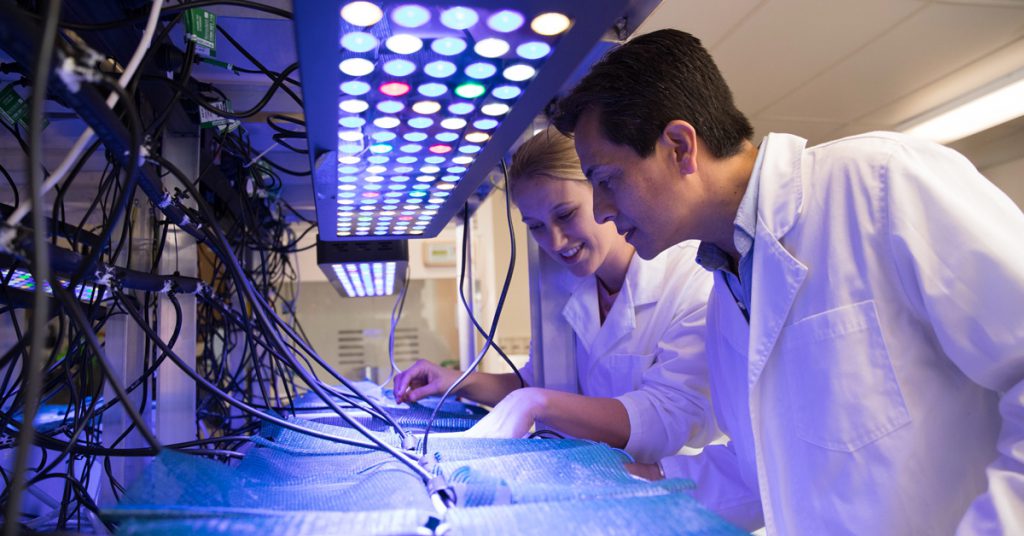 Griffith awarded $3.3 million in funding for ARC Discovery and Linkage ...