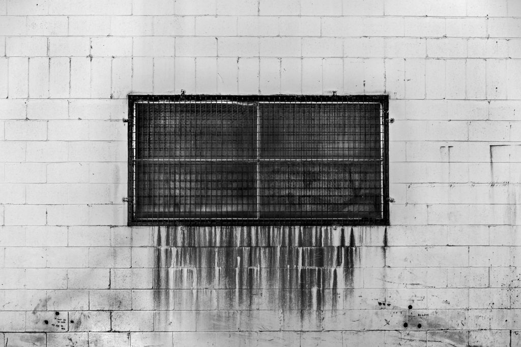 QCA showcases graduating talent - Griffith News