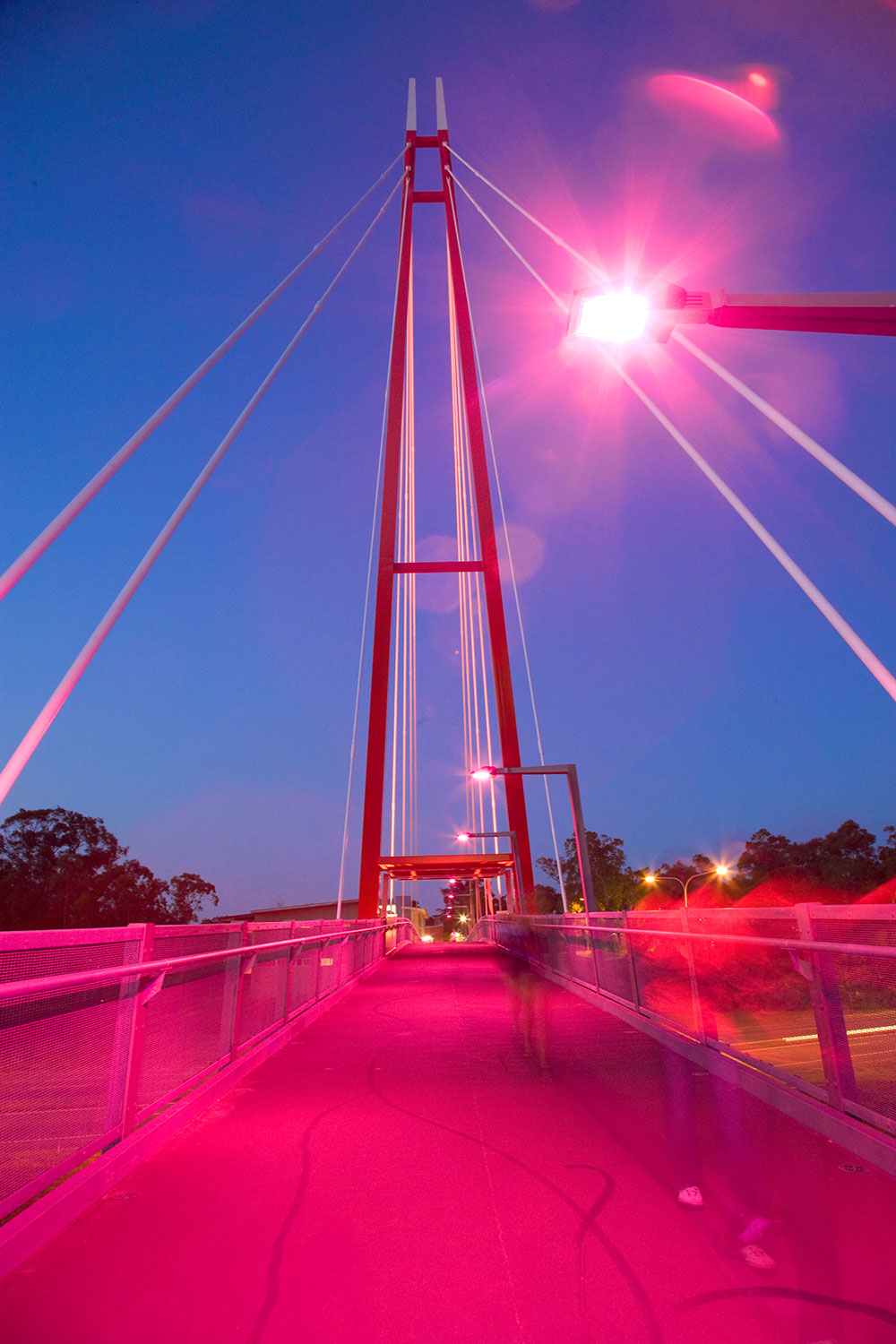Griffith bridge lights up in pink for fight against breast cancer ...