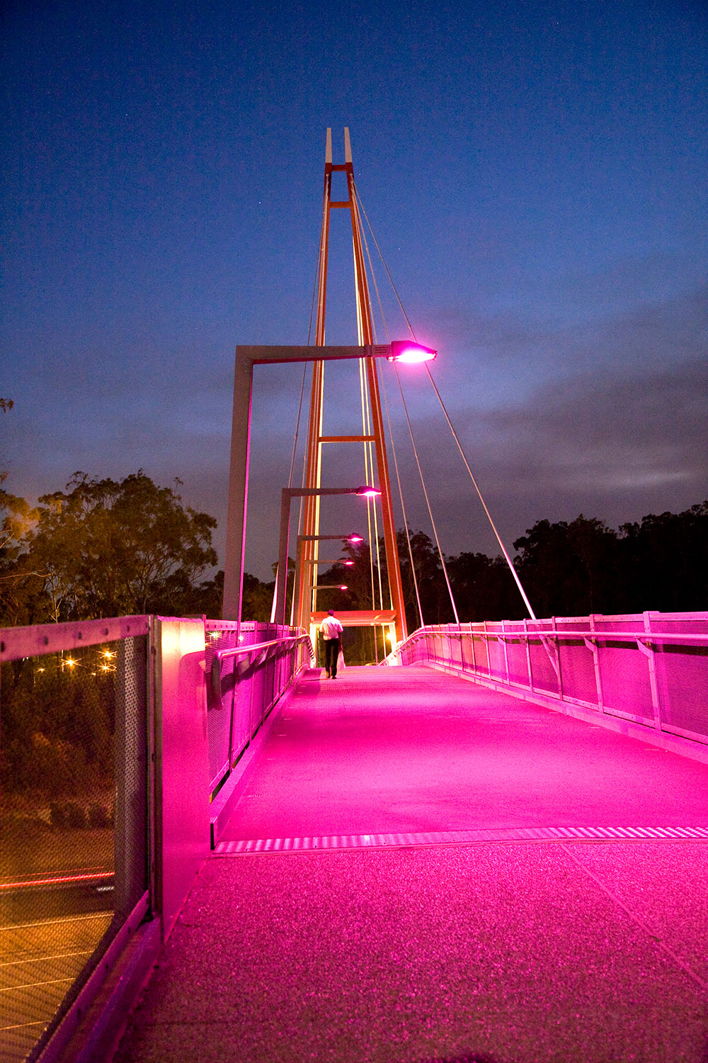 Griffith bridge lights up in pink for fight against breast cancer ...