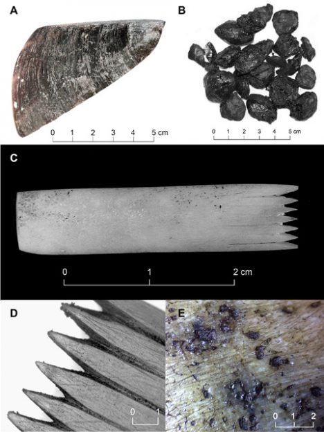 Tools in world’s oldest tattoo kit made from human bone - Griffith News