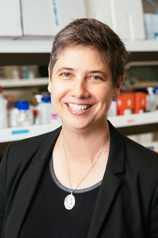 Griffith Sciences play large role in ERA 2018 research successÂ ...
