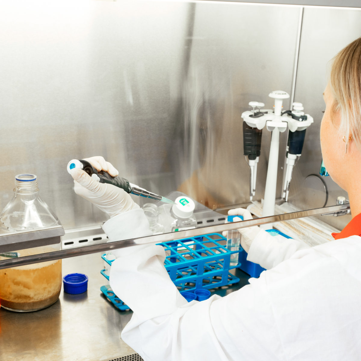 Griffith medical research to benefit from $5m fundingÂ – Griffith News