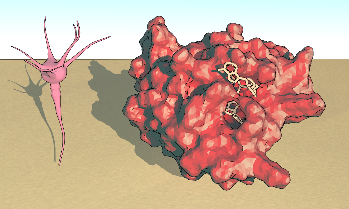 Self-destructing cells could hold key for brain health and food ...