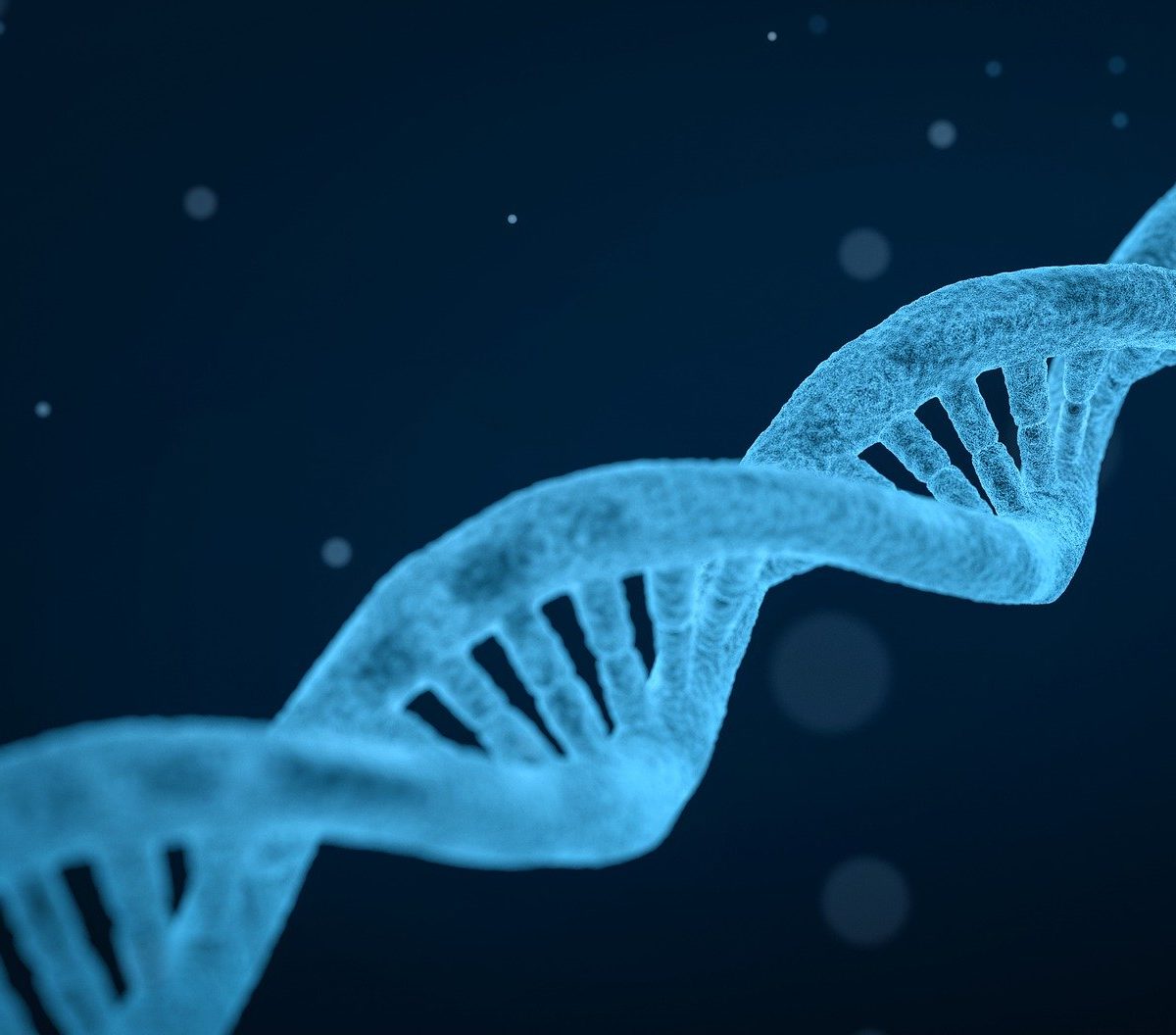 Study identifies single gene behind gene network linked to autism ... Study identifies single gene behind gene network linked to autism ...