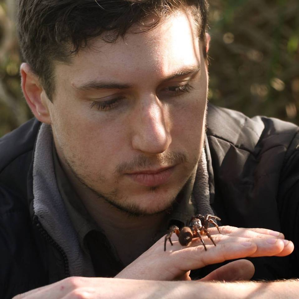 New group of trapdoor spiders discovered in eastern Australia ...