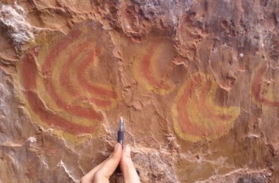 Rock art discovery saves cultural heritage site in the Pilbara ...