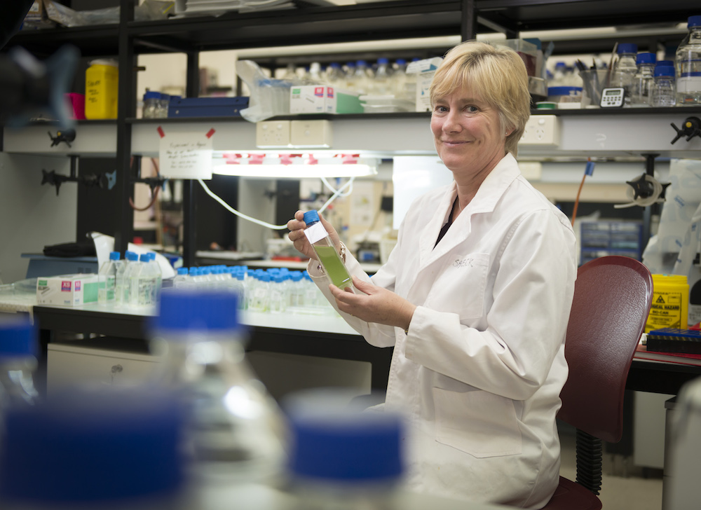 Understanding nutrient runoff to help protect waterways - Griffith News