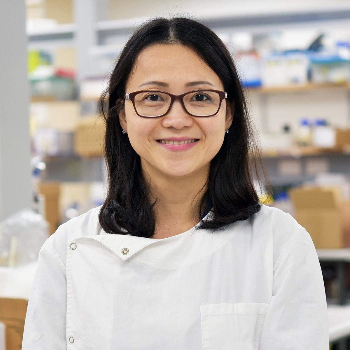 NHMRC awards Griffith University $4.5 million in research funding ...