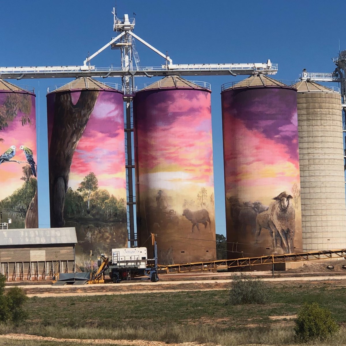 Silo art survey to unearth social and economic benefits – Griffith News