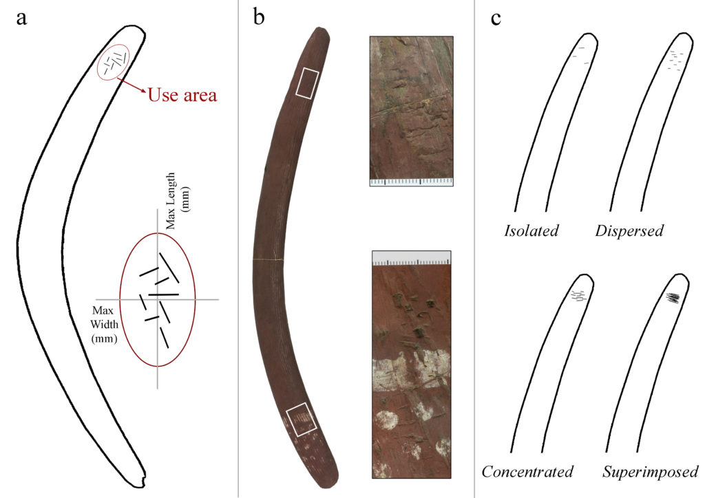 Boomerangs return with greater insights into ample uses - Griffith News