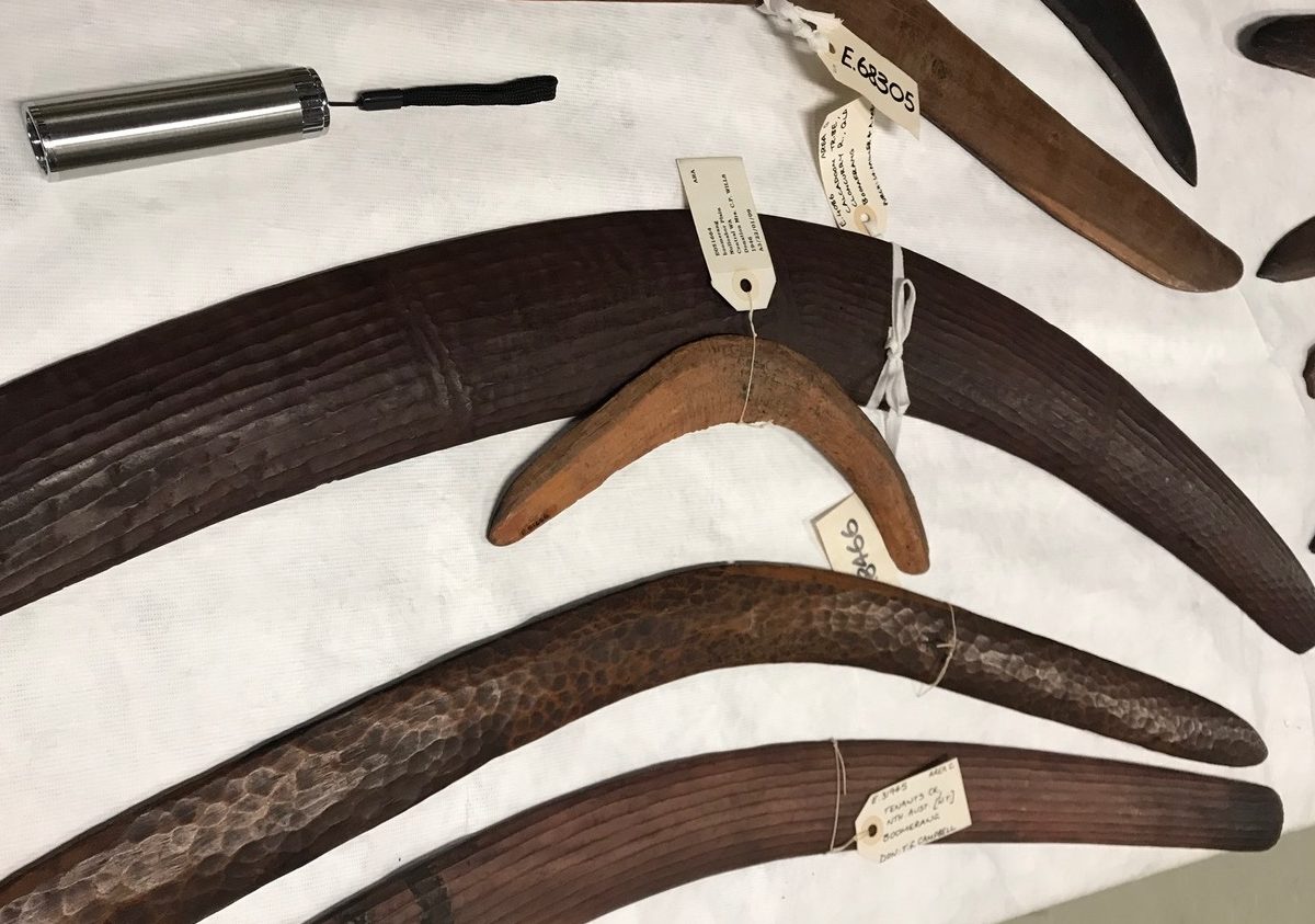 Boomerangs return with greater insights into ample uses | Mirage News