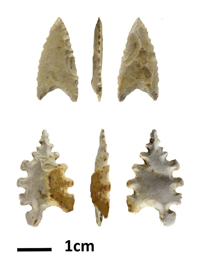 Tiny tools point to specialist skills of ancient Indonesians - Griffith ...