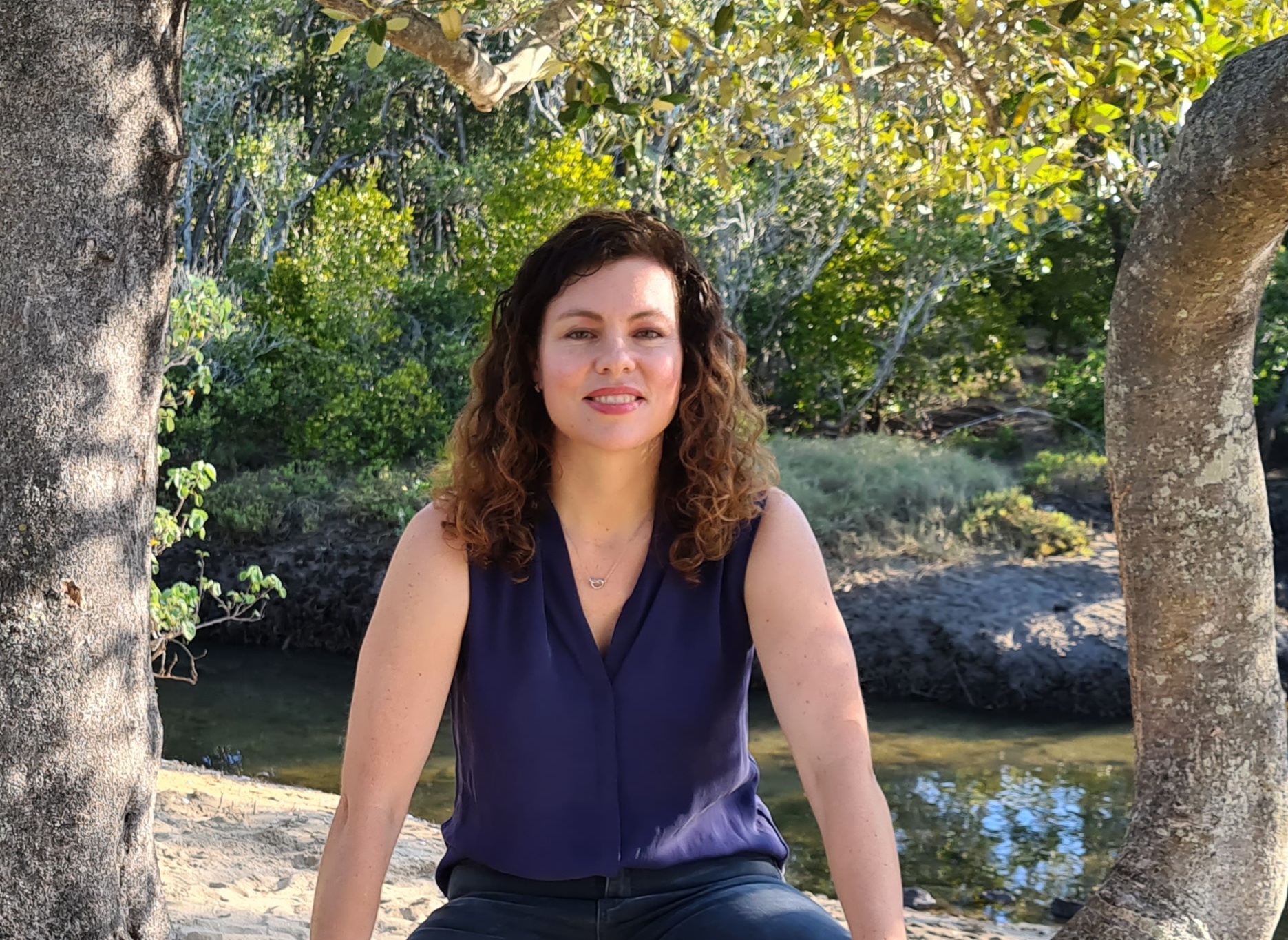 Climate change to increase deadwood decomposition globally - Griffith News