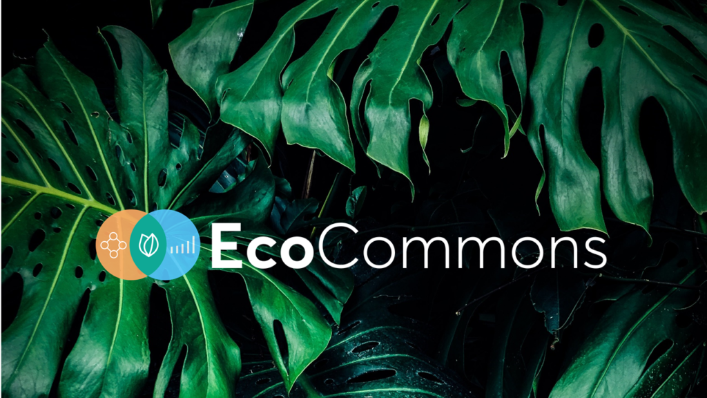 EcoCommons – mapping the future in environmentally challenging times ...