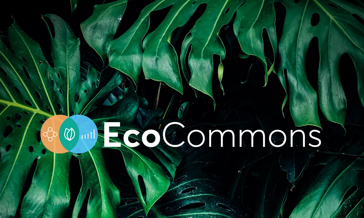 EcoCommons – mapping the future in environmentally challenging times ...