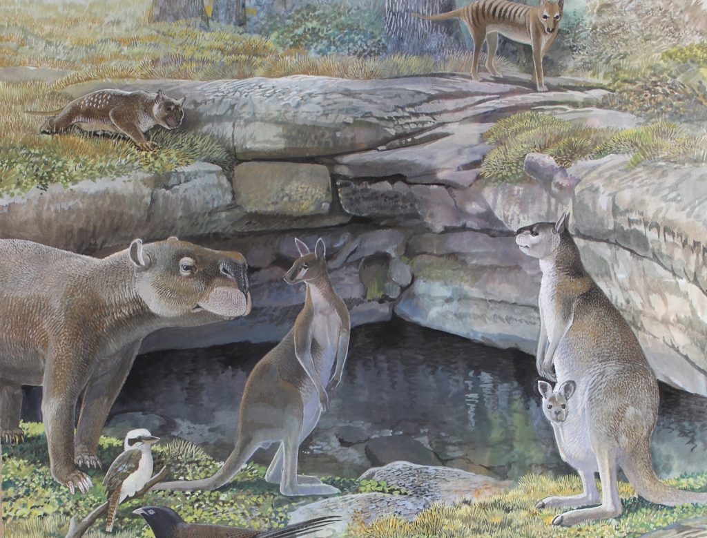 Underwater cave fossil site gains state protections – Griffith News