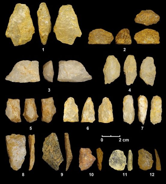 Stone projectile skills help foragers occupy rainforests during ...