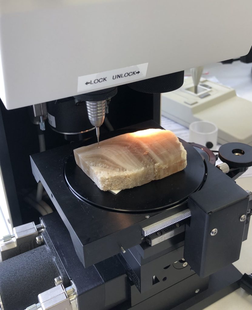 Central Asia identified as key route for early human migration ...