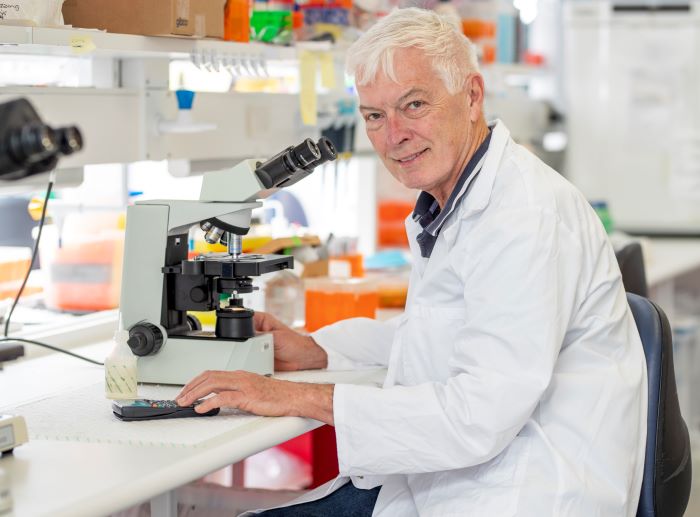 Griffith unlocking the secrets to Strep A virulence - Griffith News