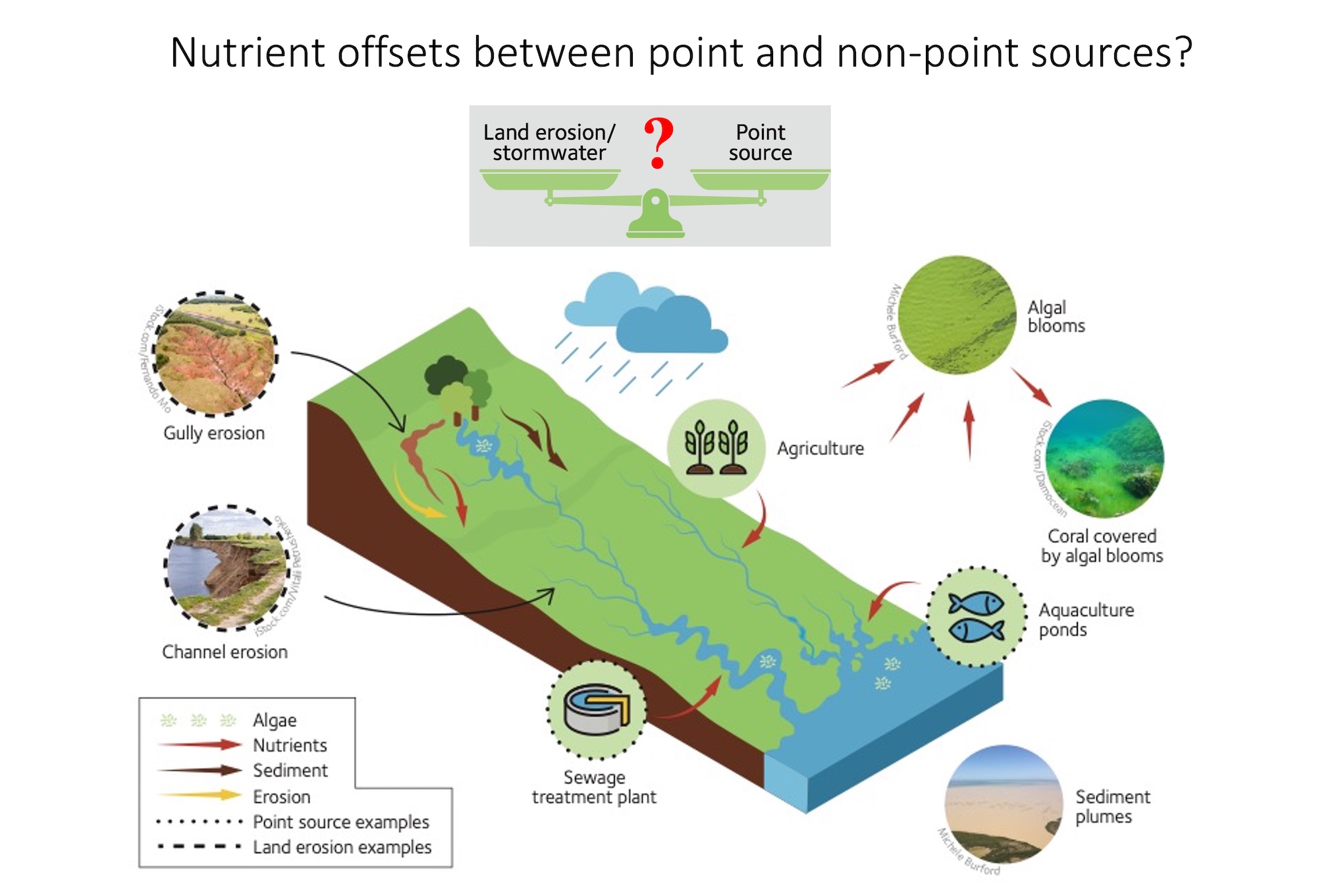 Challenges & knowledge gaps with nutrient offsetting - Griffith News