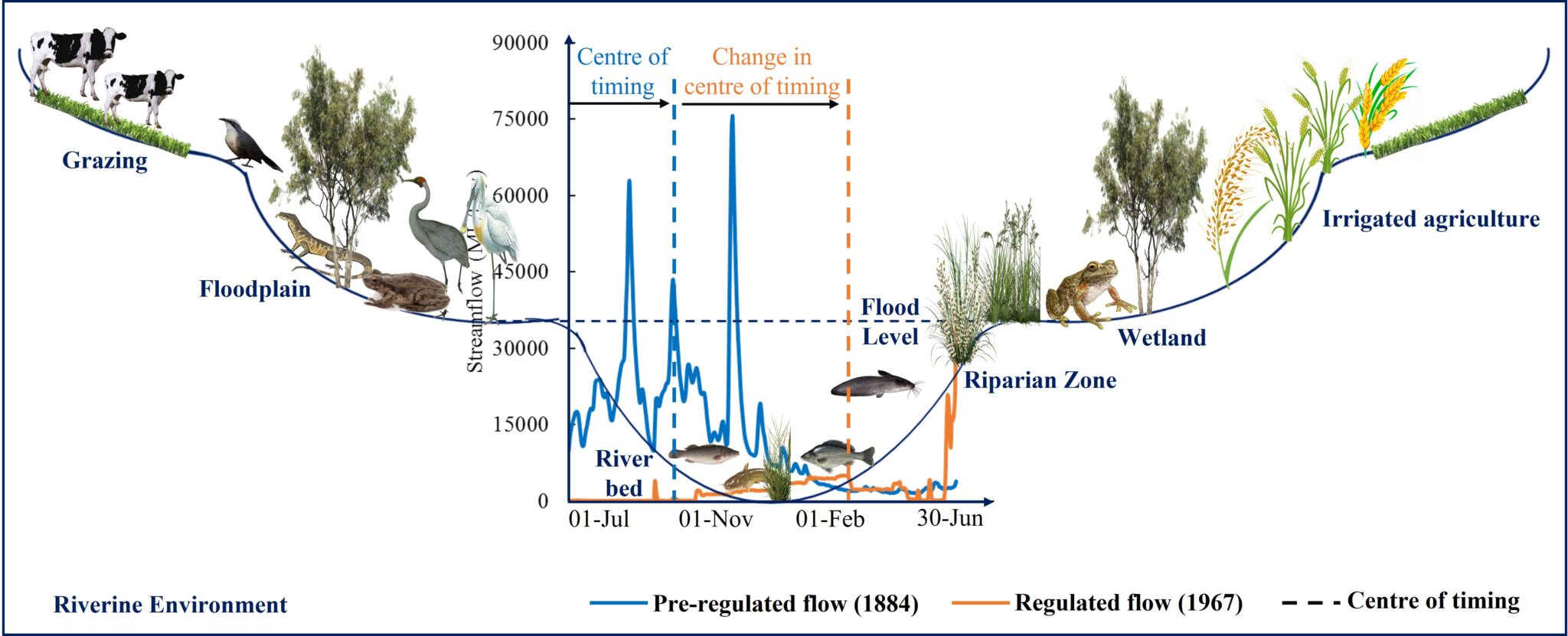 How climate and water management affect streamflow seasonality ...