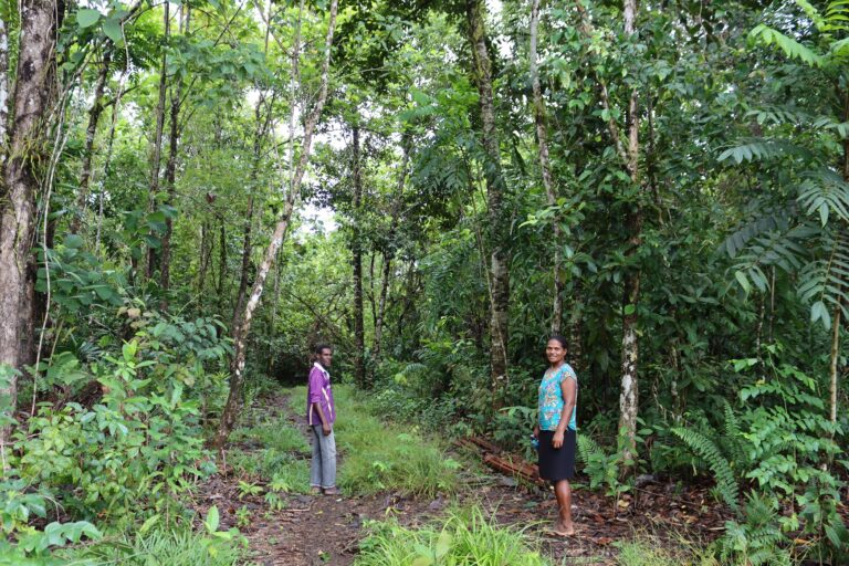Forest regeneration project puts tools in community hands – Griffith News