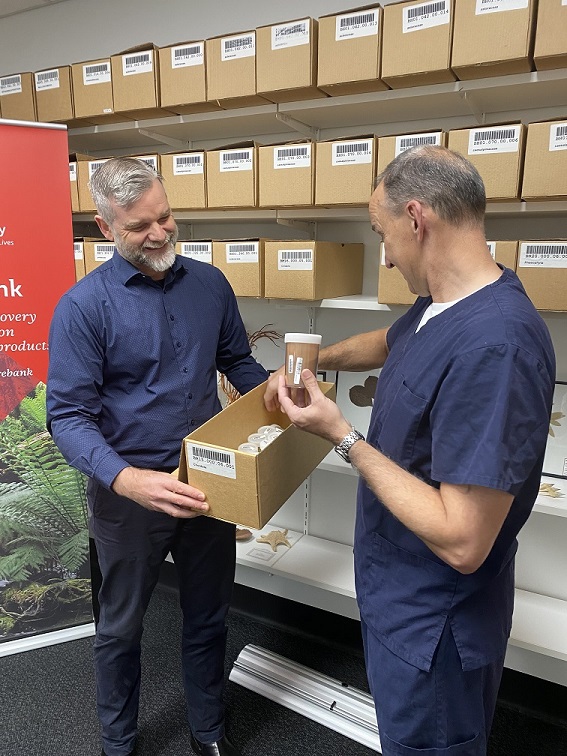 Rainforest plant could hold key to lung fibrosis treatment - Griffith News