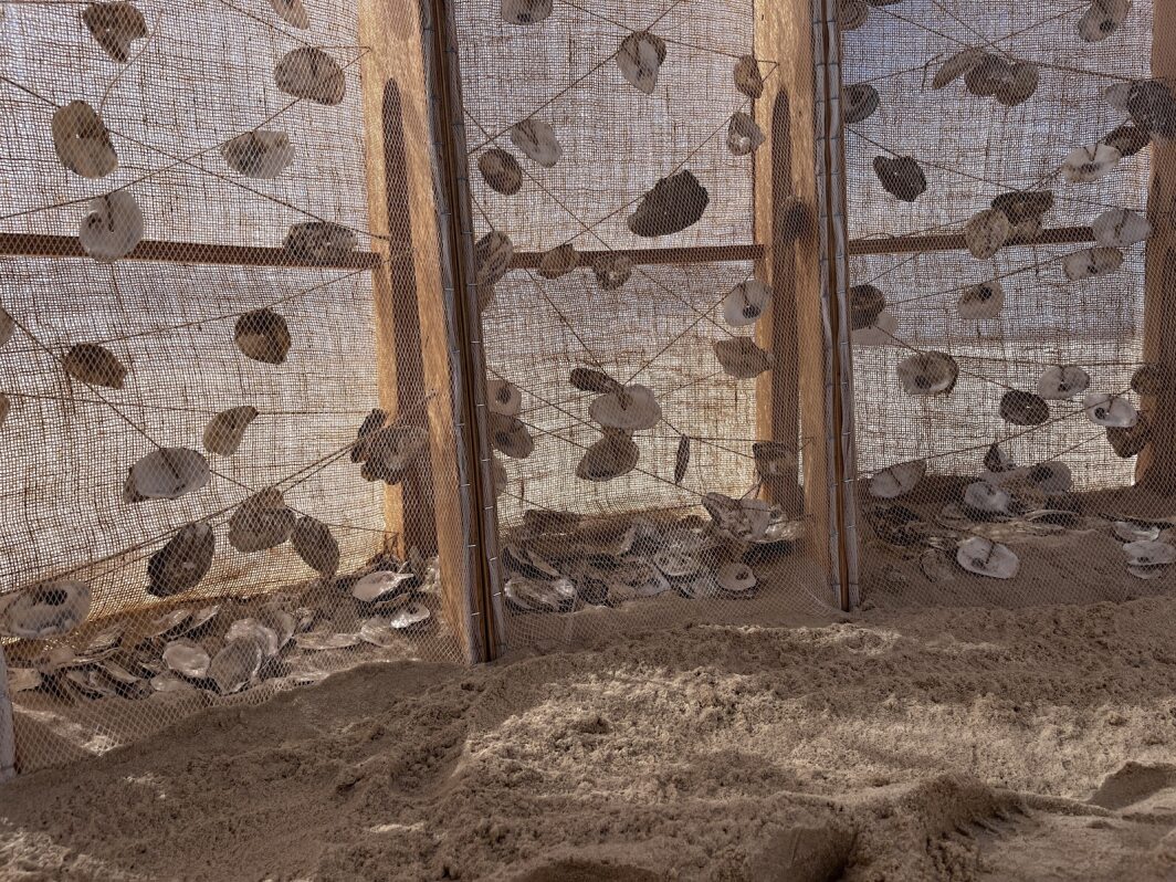 ‘Oystertecture’ builds a pathway to SWELL for architects - Griffith News