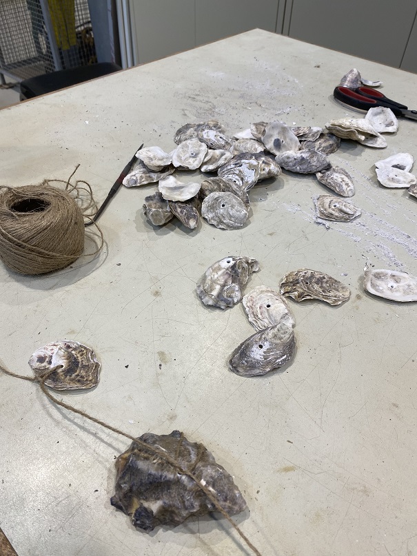 ‘Oystertecture’ builds a pathway to SWELL for architects - Griffith News