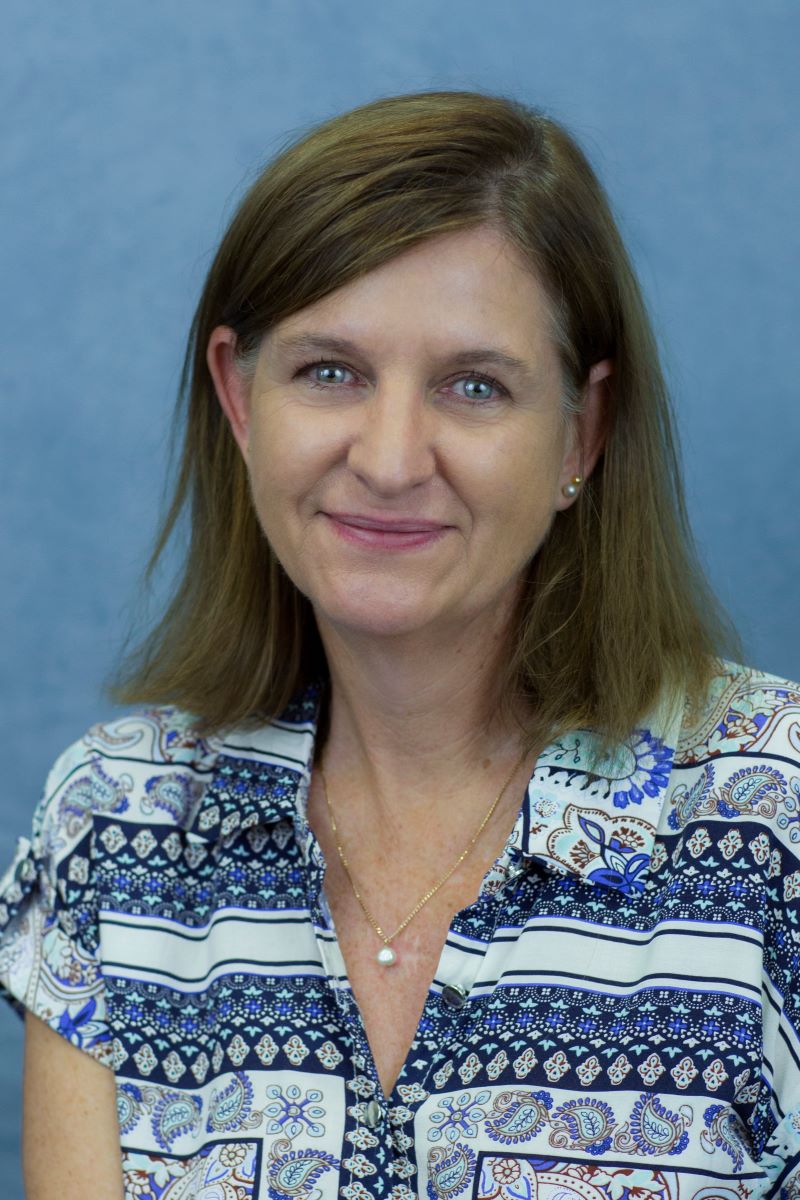 Rock stars help accelerate rock art preservation and rural digital ...