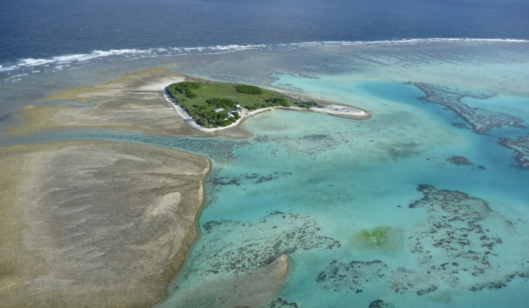 Women and the Reef: An Australian Story - Griffith News